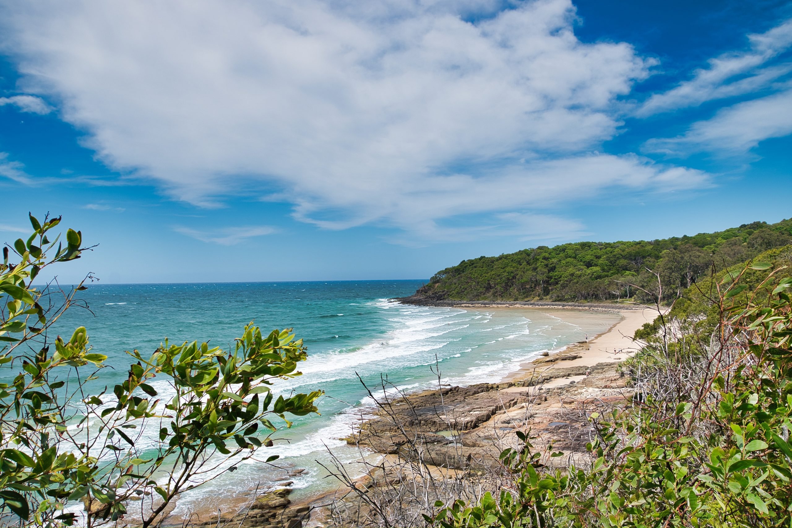 NATURE ON THE SUNSHINE COAST — TRAVELLING WITH MY NIKON